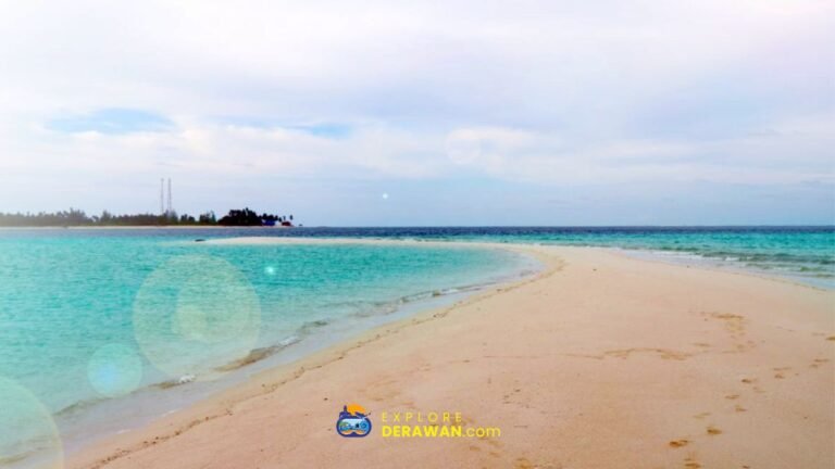 Simak Panduan Wisata Derawan: Informasi, Destinasi, Tips, Rute dan ...